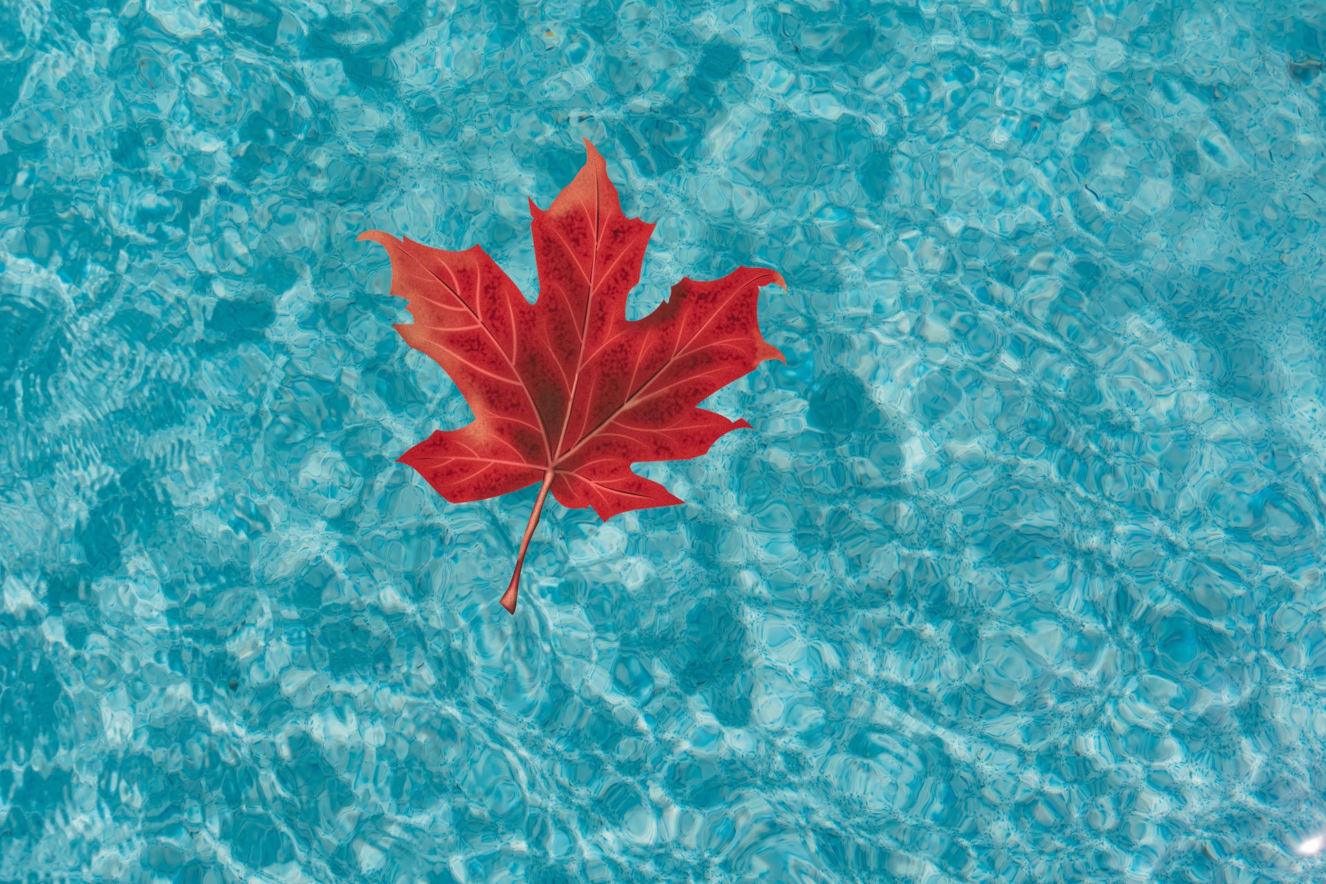 Fall Optimization With Heliocol | Solaron